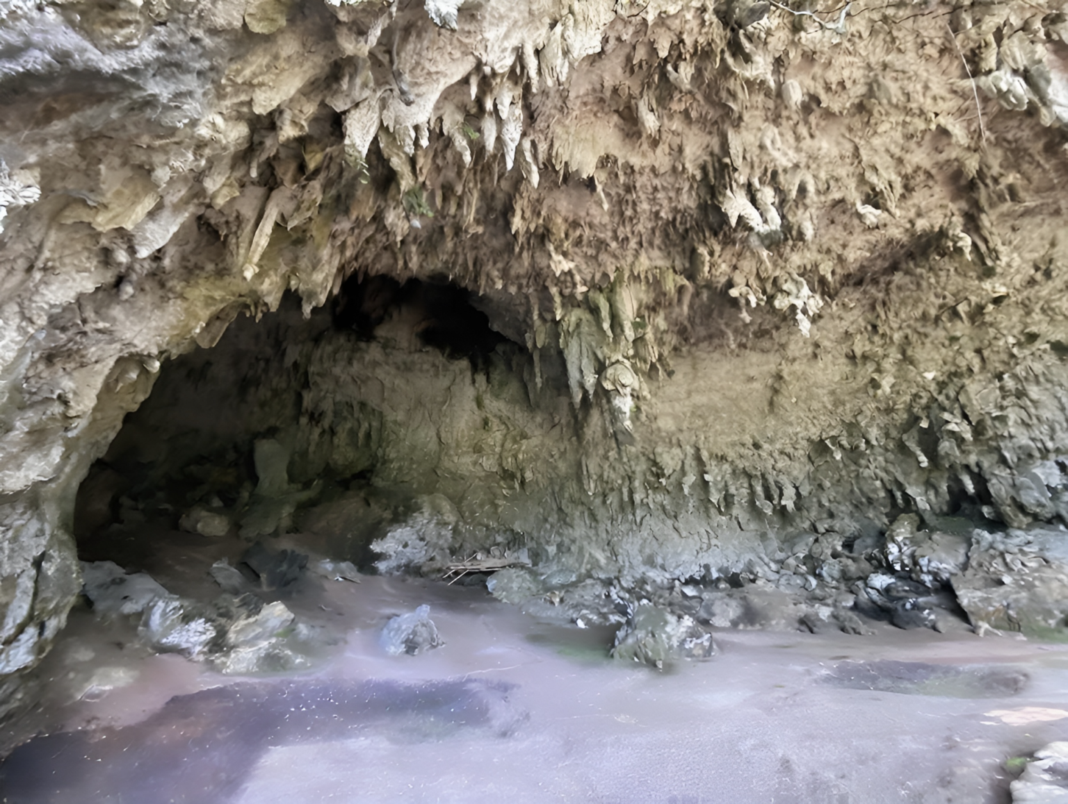 Exploring Liang Bua: The Prehistoric Relic of Indonesia